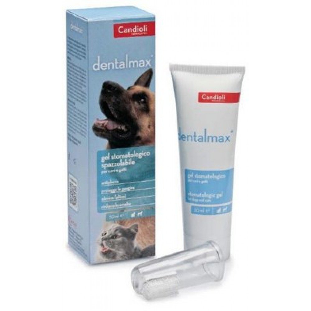 DENTALMAX ΟΔΟΝΤΟΚΡΕΜΑ ΜΕ ΟΔΟΝΤΟΒΟΥΡΤΣΑ