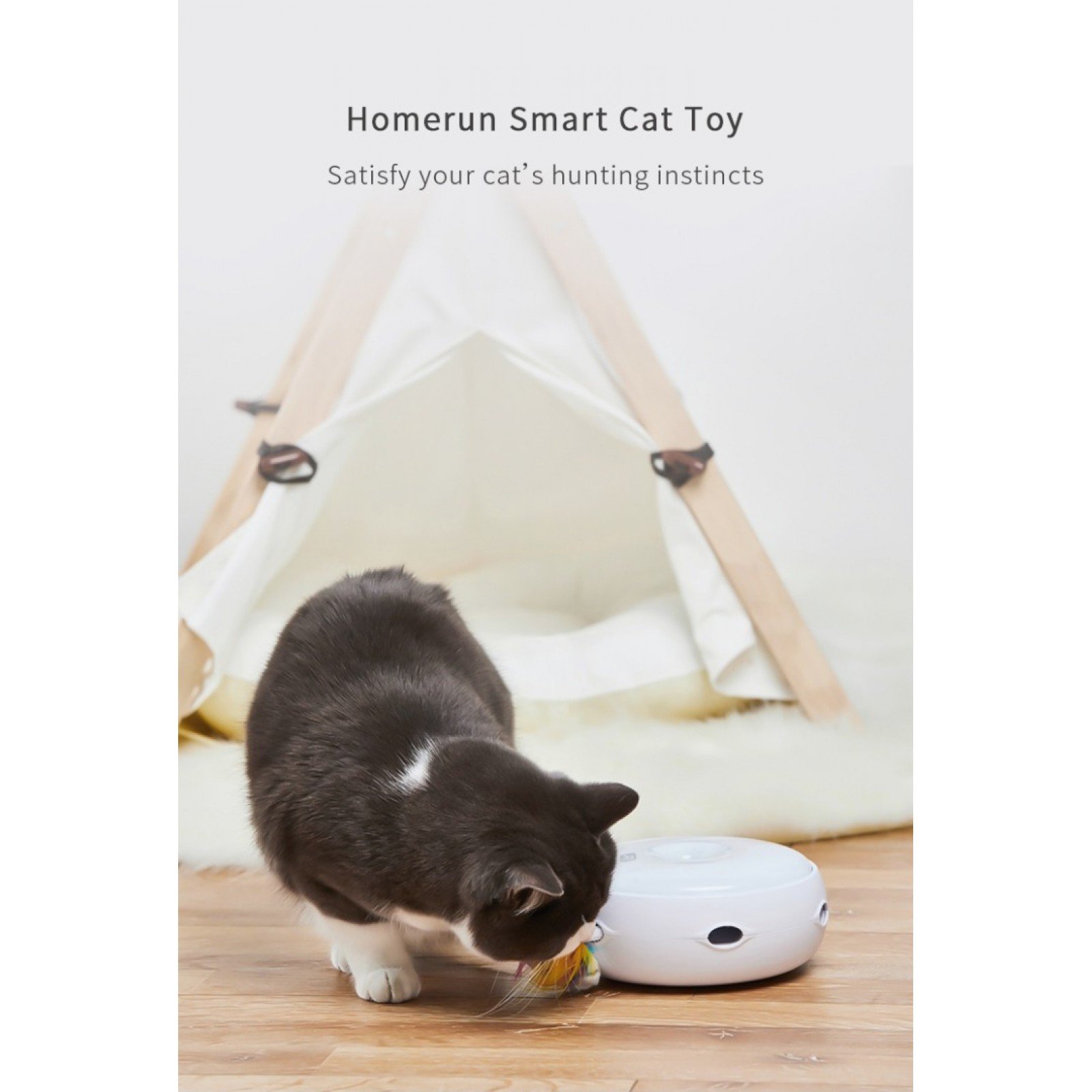 Παιχνίδι Γάτας Homerun Smart Cat Disc 17,5cm