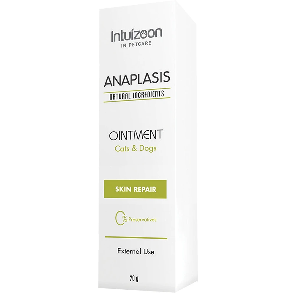 Αλοιφή Ανάπλασης Δέρματος Intuizoon Anaplasis 70g Για Σκύλους Και Γάτες ...