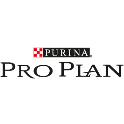 Pro Plan